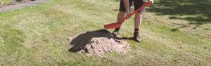 What Type of Sand for Lawns (And Why Top Dressing Is Crucial)
